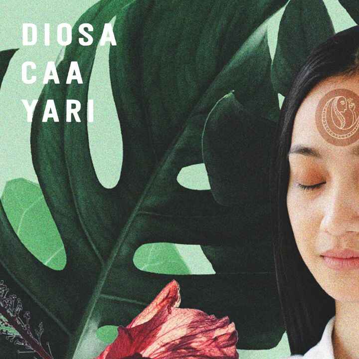 Toda la energía de ingrediente milenarios embotellada y 100% natural